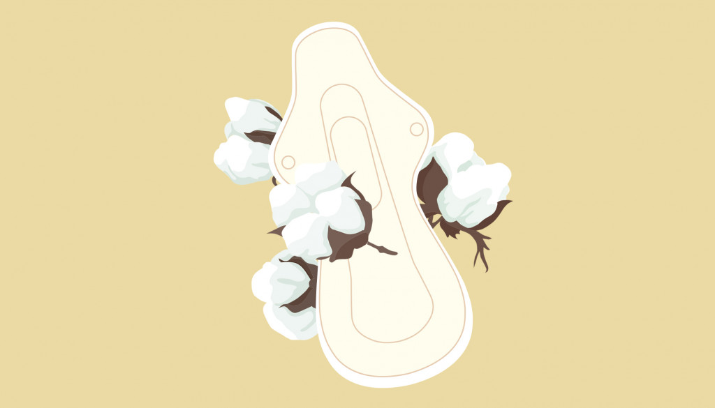 Pourquoi choisir le coton certifié bio ? | Le Blog Hannapad